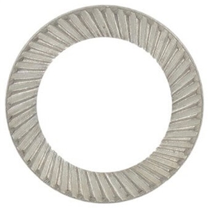 M6 Schnorr Washer